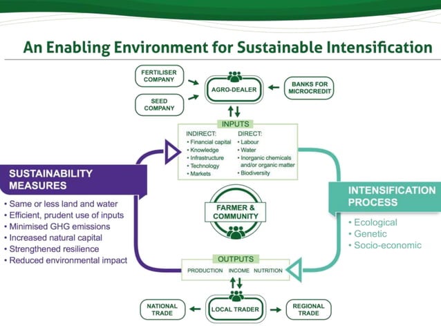 Sustainable Intensification: A New Paradigm for African agriculture ...