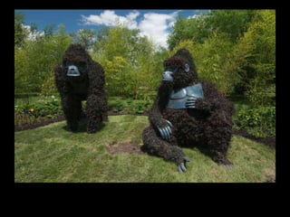 Montreal Botanical Gardens Creatures | PPTX