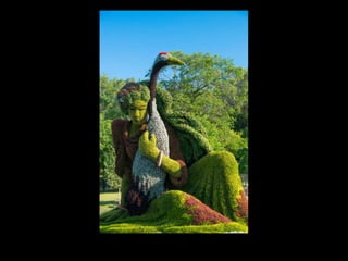 Montreal Botanical Gardens Creatures | PPTX