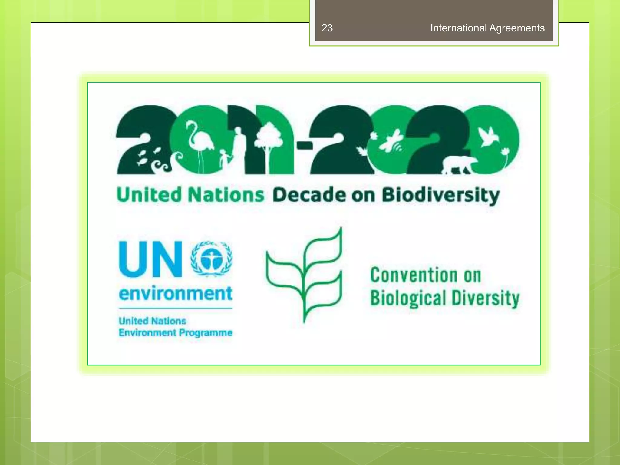 Montreal protocol, Kyoto protocol & Convention on Biological Diversity ...