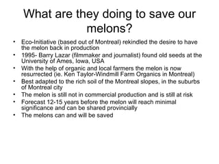 Montreal Melon(1) | PPT