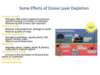 montrealprotocol-130712150348-phpapp02 (1).pptx