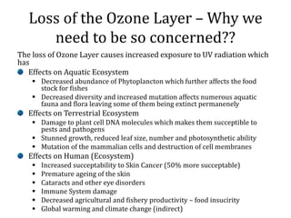 Montreal Protocol and Ozone Layer Depletion | PPTX
