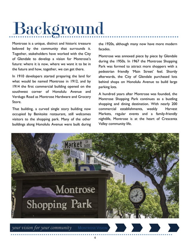 Montrose Vision Plan 20/20 | PDF