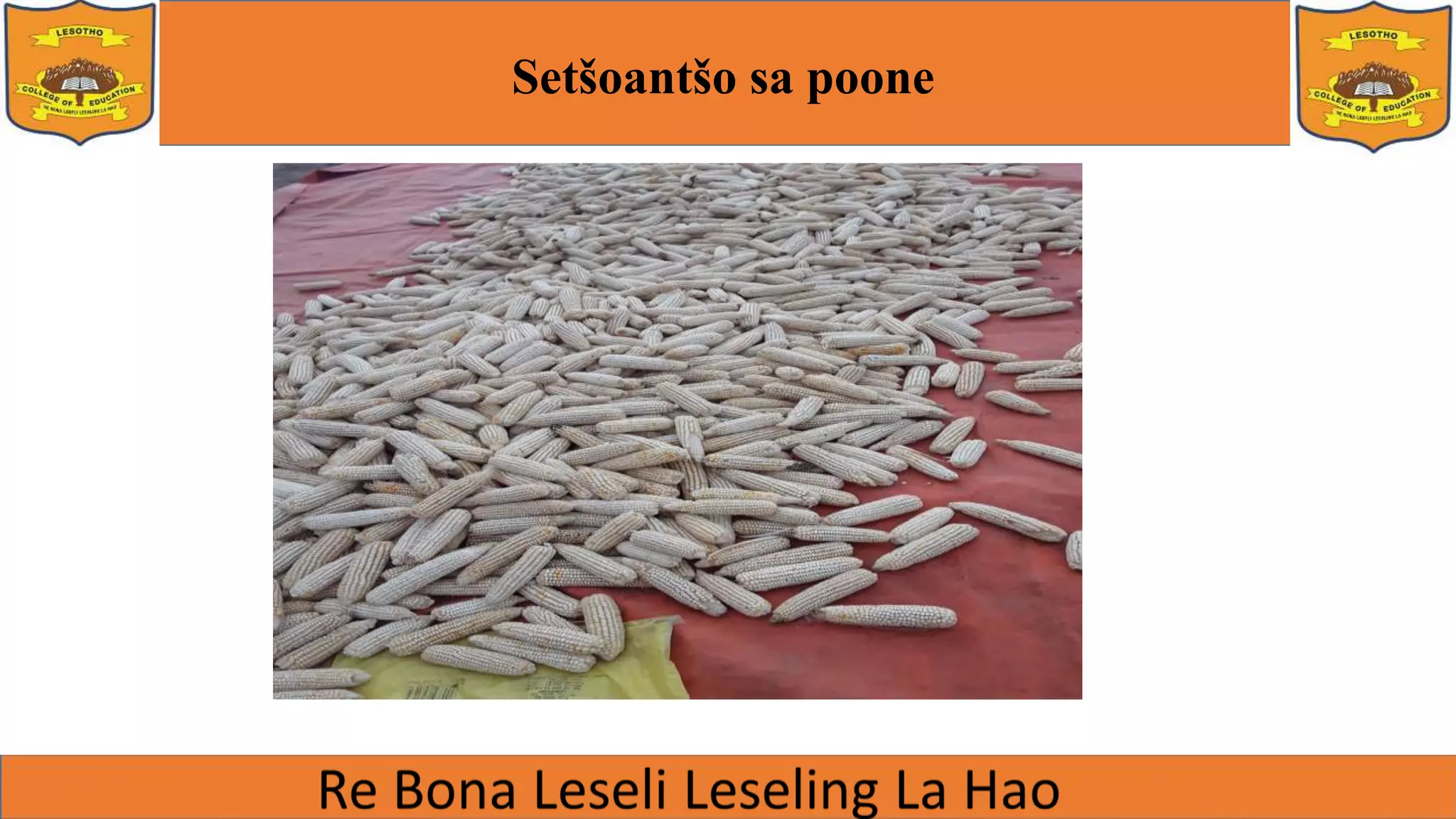 Montseng Khabo.pptx