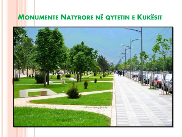 Monumente natyrore-në-qytetin-e-kukësit | PPTX