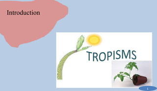 Tropism of plant, types and role in plant | PPTX