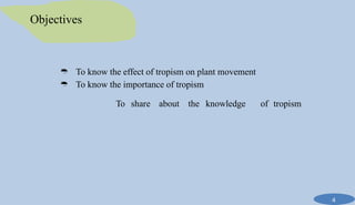 Tropism of plant, types and role in plant | PPTX