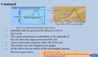 Plant tropism: Types , role and importance | PPTX