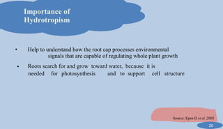 Plant tropism: Types , role and importance | PPTX