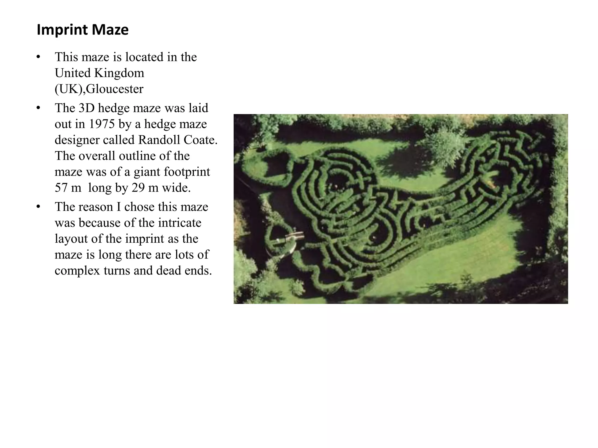 Mood board of research for The Maze Adventure | PPTX
