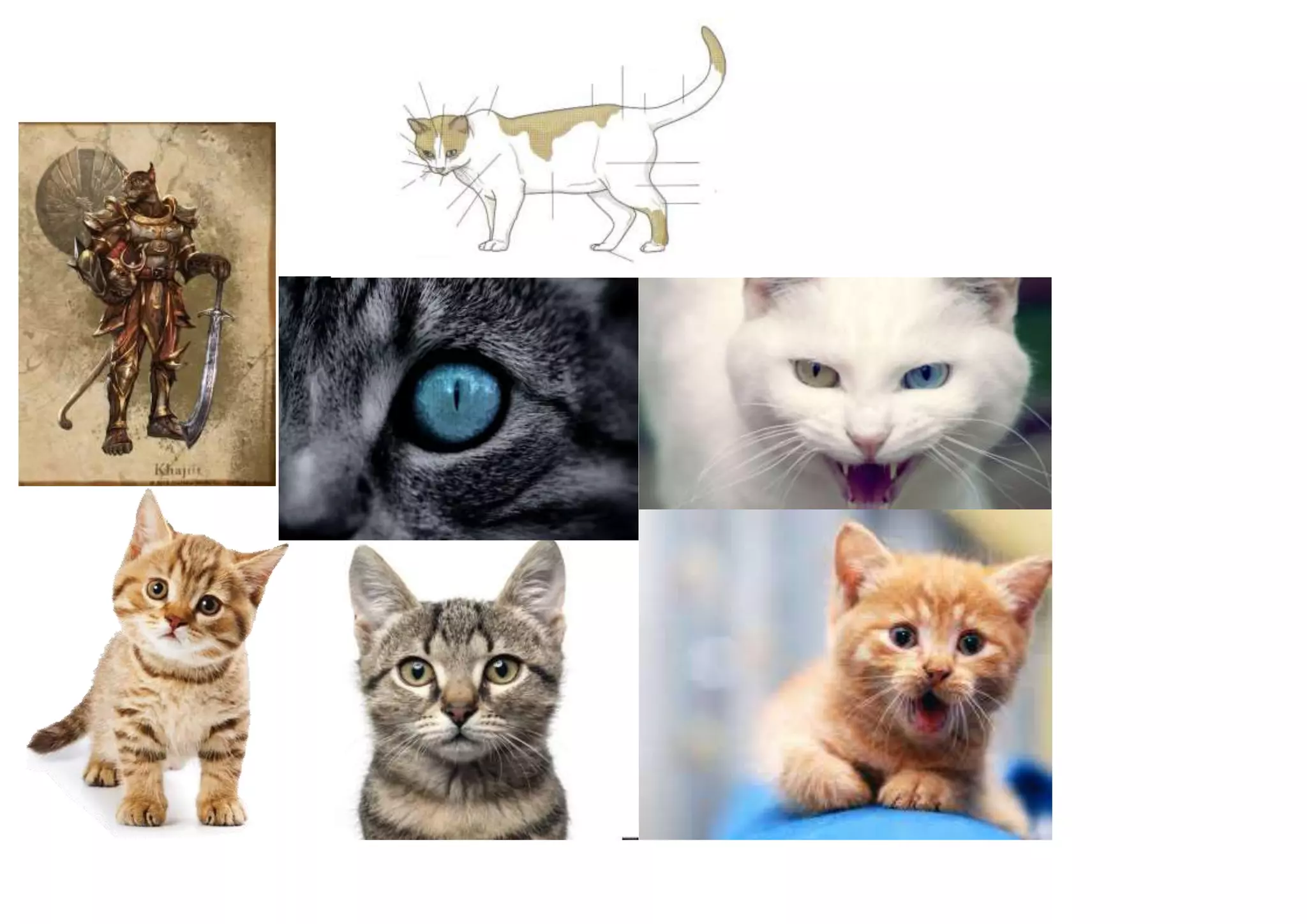 mood board for character | DOCX