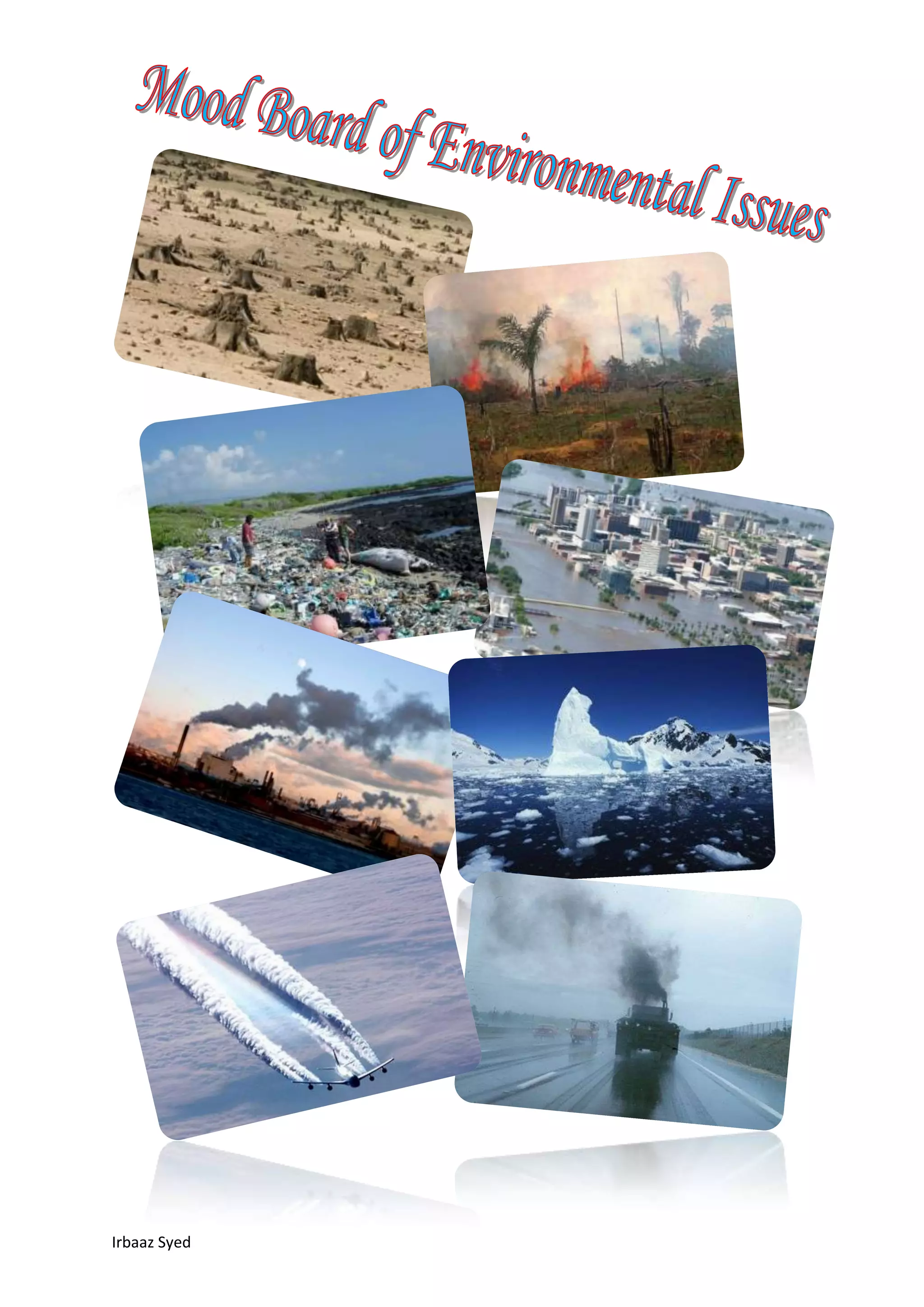 Mood board of environmental issues | PDF