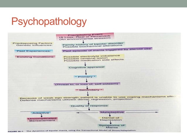 MOOD DISORDER Mania, CLASSIFICATION.pptx