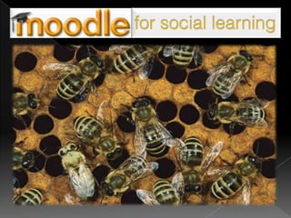 Moodle and Mahara combined | PPTX