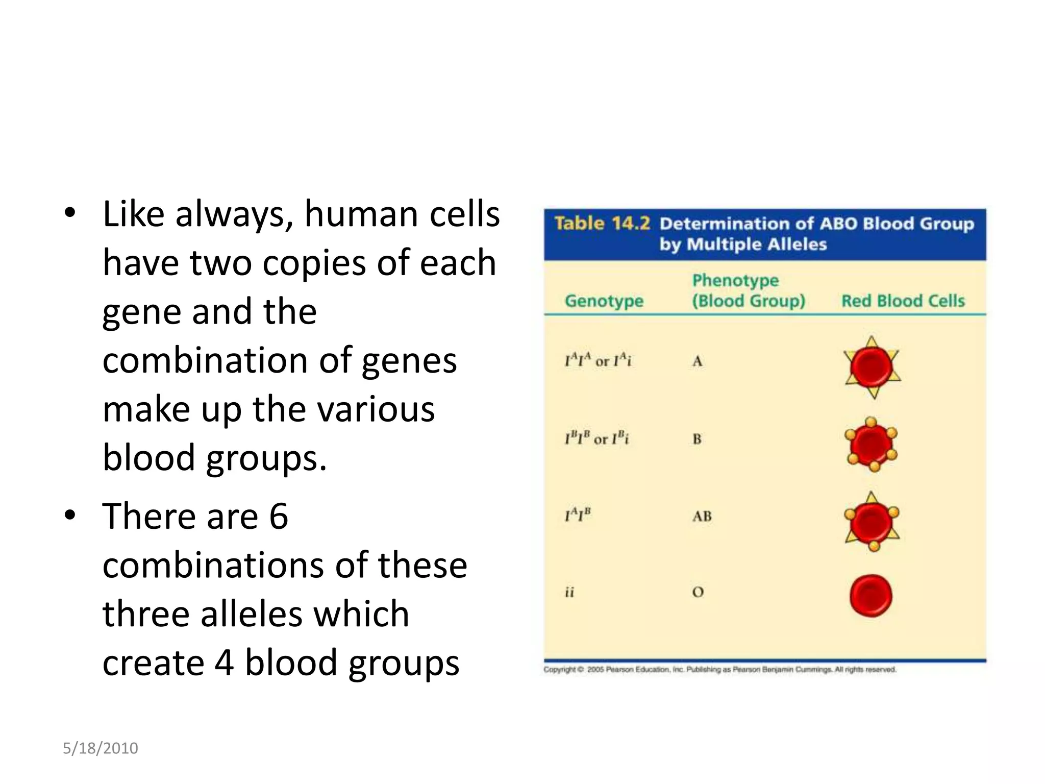 Moodle multiple alleles_codom | PPTX