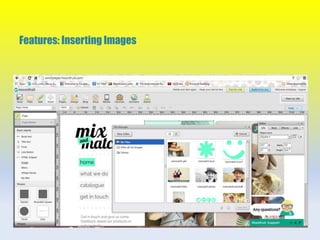 Moonfruit | PPT
