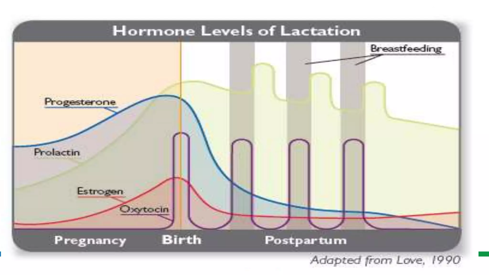 Galactagouges and Breastfeeding | PPTX