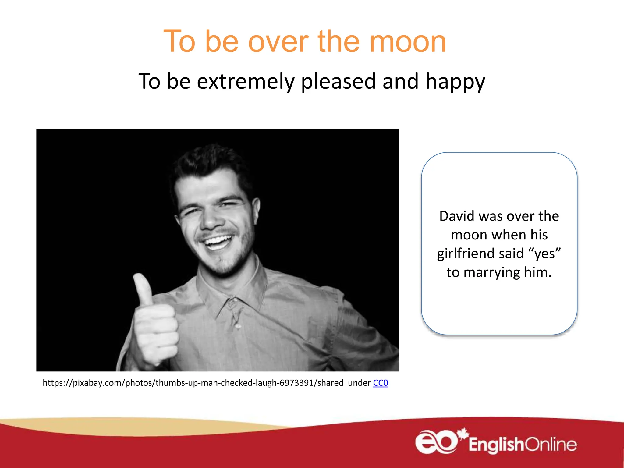 Moon Idioms - The Canadian Idioms Lessons | PPTX