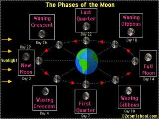 The 8 phases of moon grade 5 lesson in Science | PPT