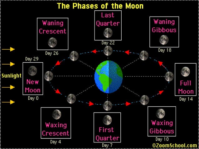 The 8 phases of moon grade 5 lesson in Science | PPT