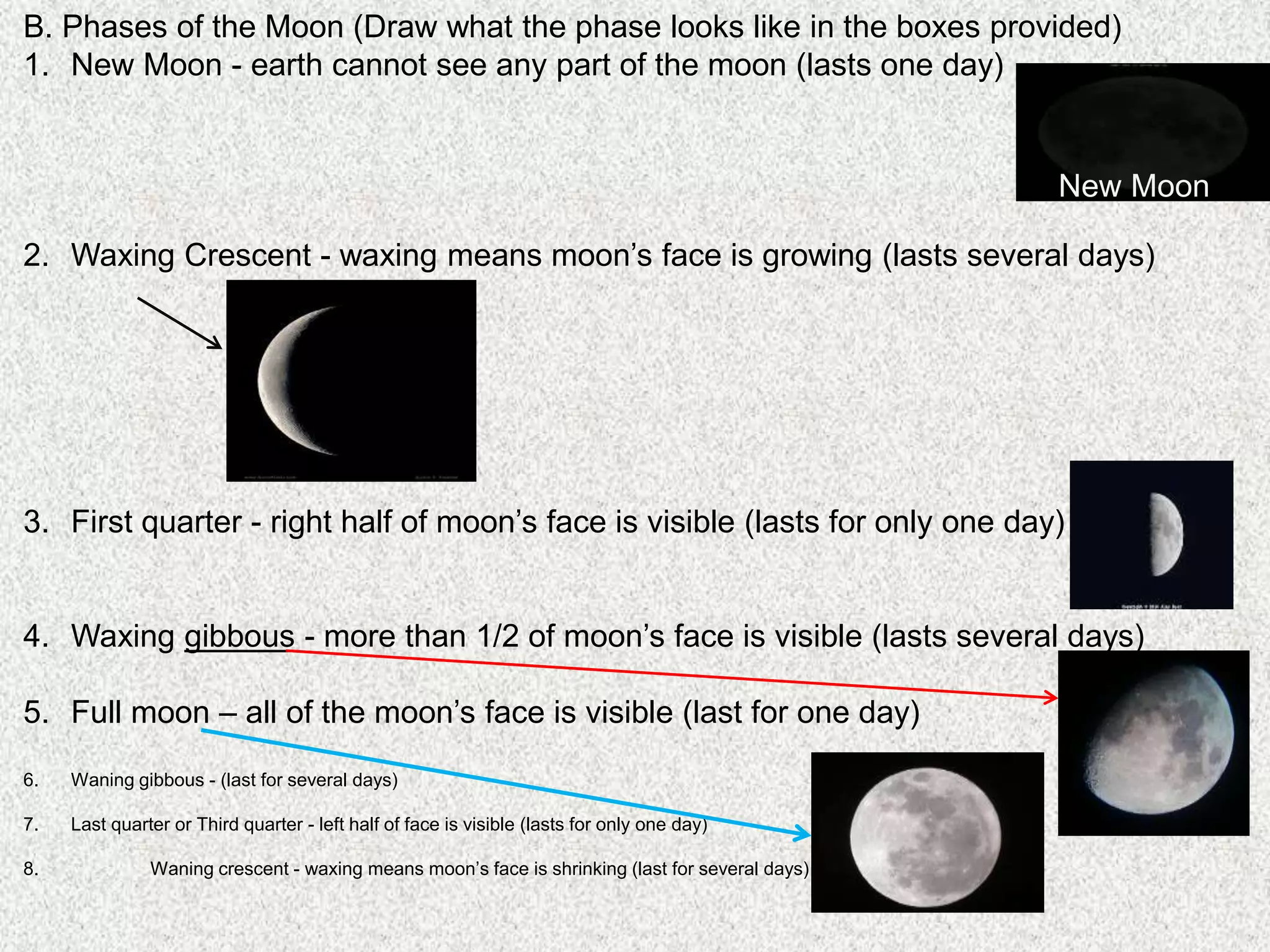 Moon Phases PPT.pdf