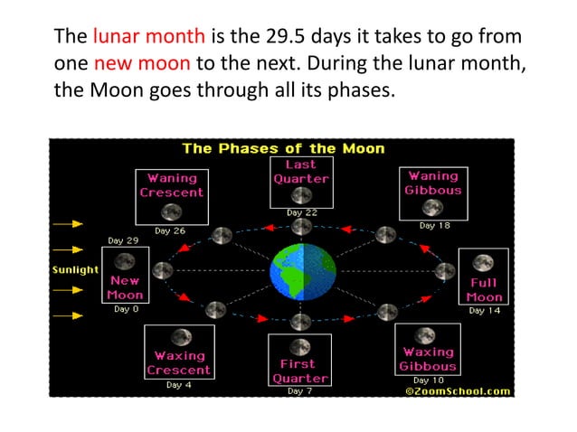 What Are The Four Phases Of The Moon