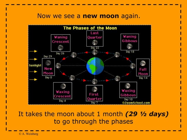 Moon Phases Tides.ppt Science 5 new school year 2024-2025 | PPT | Space ...