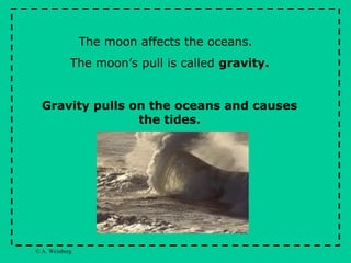 Moon Phases Tides.ppt Science 5 new school year 2024-2025 | PPT | Space ...