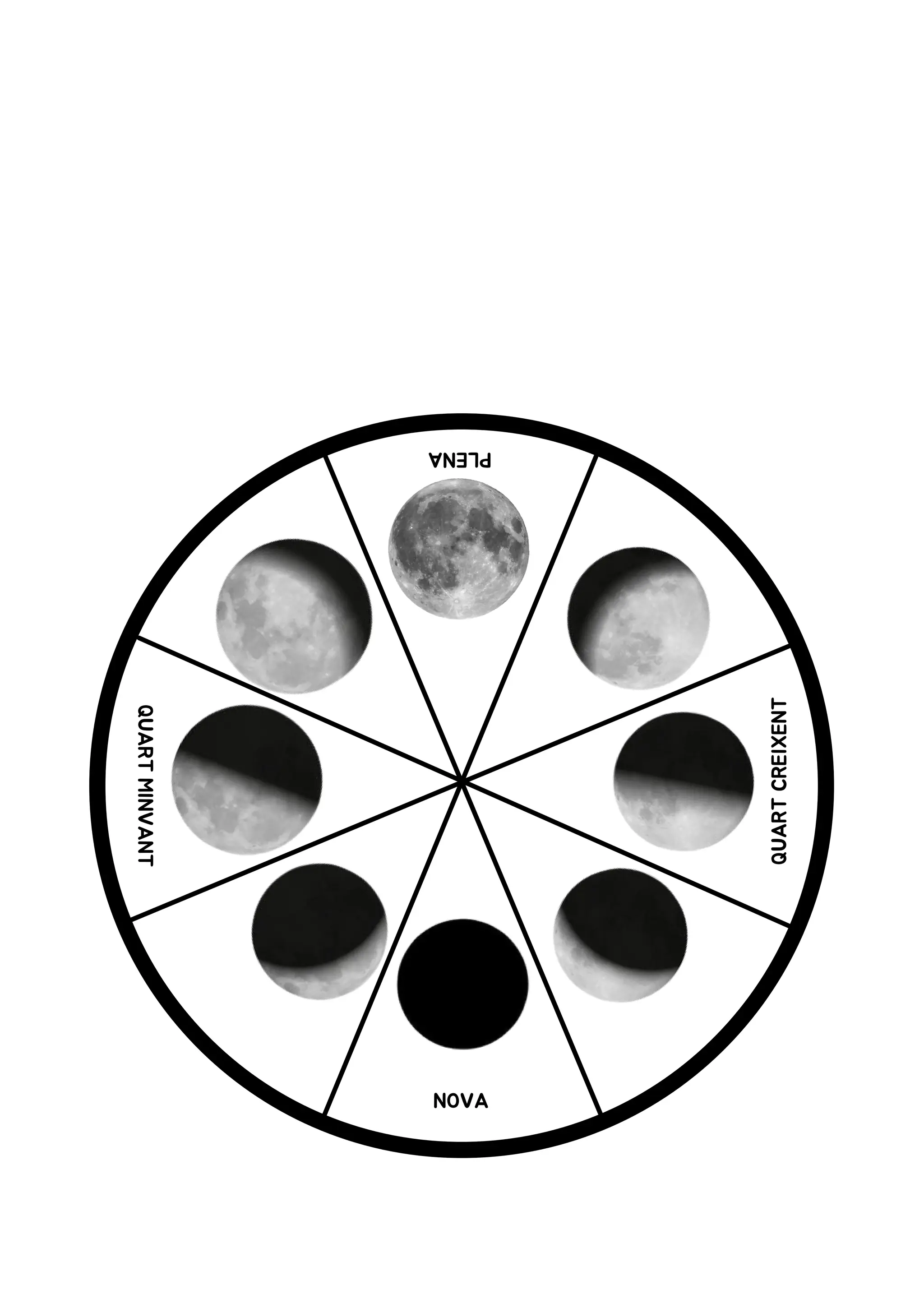 Moon Phase Wheel.pdf