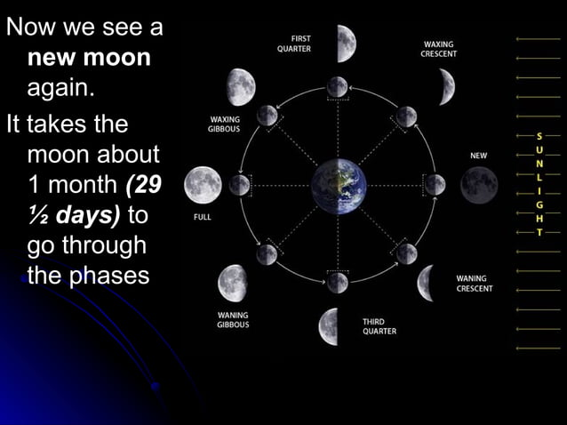 Moon seasons and tides (1).pptpptpptpptppt | PPT
