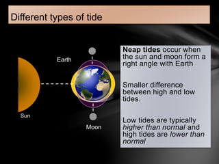 The Moon and Tides - Spring vs. Neap Tides | PPTX