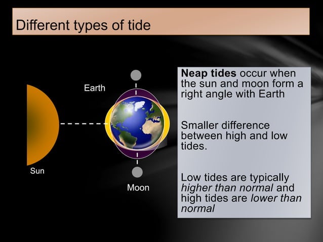 The Moon and Tides - Spring vs. Neap Tides | PPTX