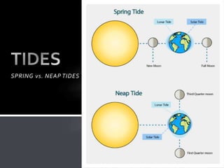 Neap Tides