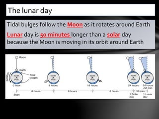 Spring And Neap Tides Powerpoint