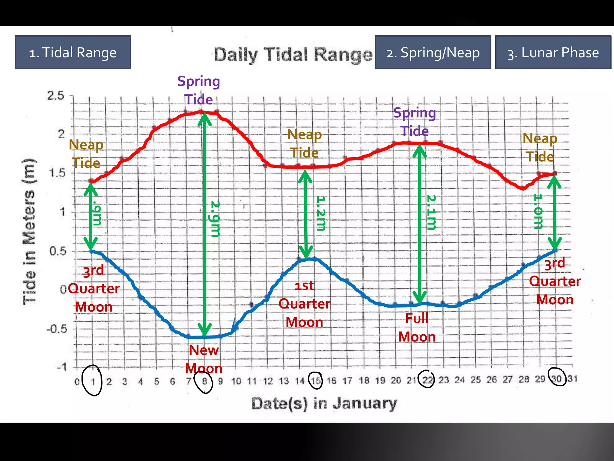 Moon and Tides - Tidal Range Activity | PPT