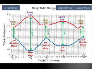 Moon and Tides - Tidal Range Activity | PPT