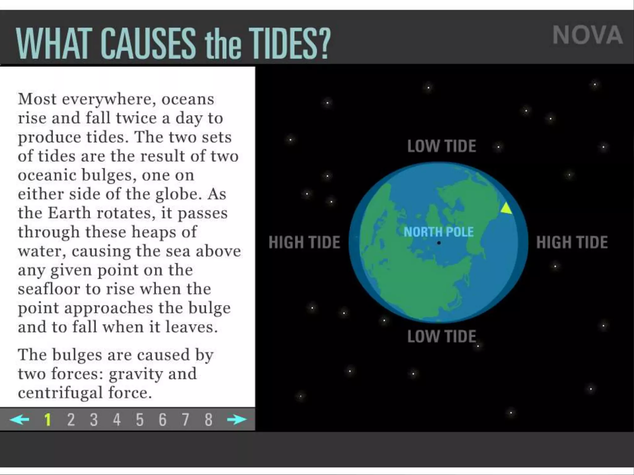 The Moon and Tides - What causes tides? | PPTX