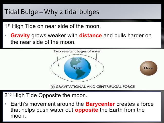 The Moon and Tides - What causes tides? | PPT