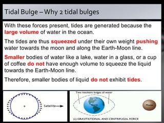 The Moon and Tides - What causes tides? | PPTX