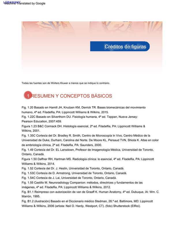 Moore anatomia 9na edicion traducido .pdf