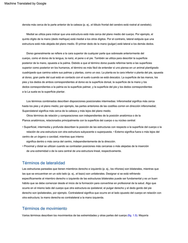 Moore anatomia 9na edicion traducido .pdf