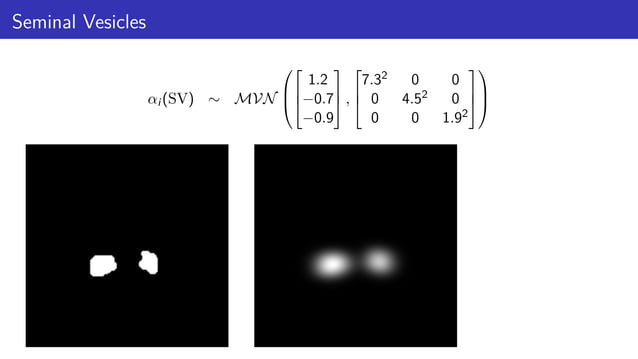 bayesImageS: an R package for Bayesian image analysis | PPT