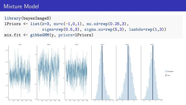 bayesImageS: an R package for Bayesian image analysis | PPT