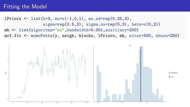 bayesImageS: an R package for Bayesian image analysis | PPT