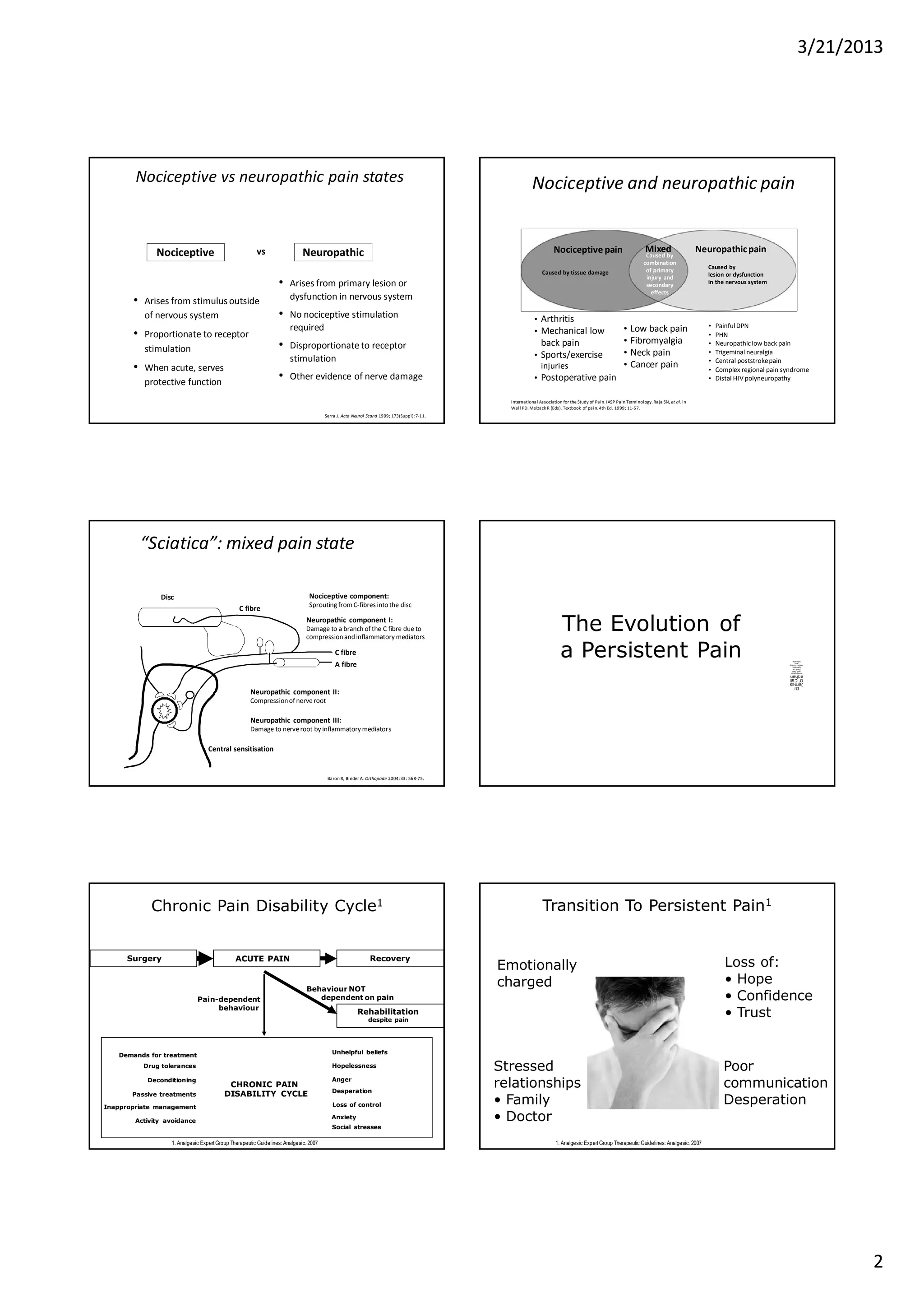 This Unbearable Pain | PDF