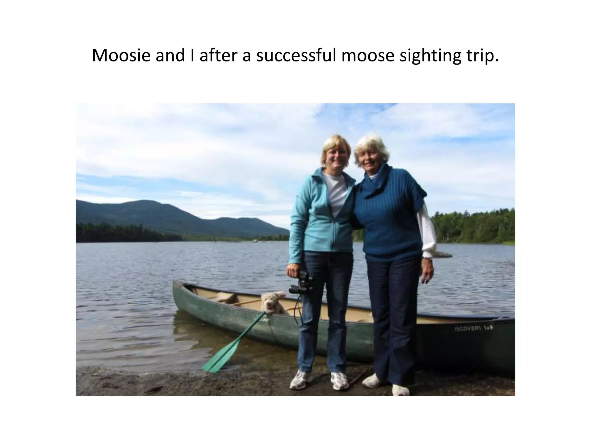 Moose slide show | PPT
