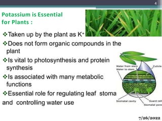 MOP Fertilizer Manufacturing and Technology.pptx