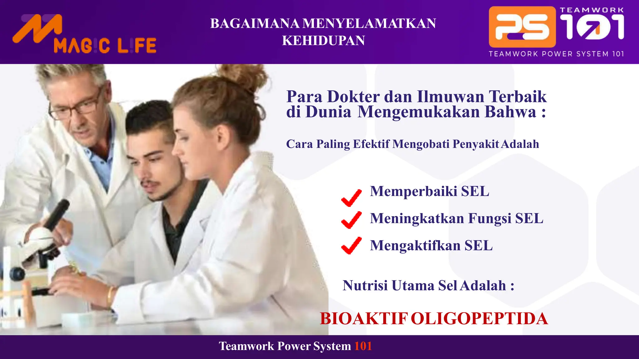 MOP_PosterpupukeS101_compressed (1).pptx