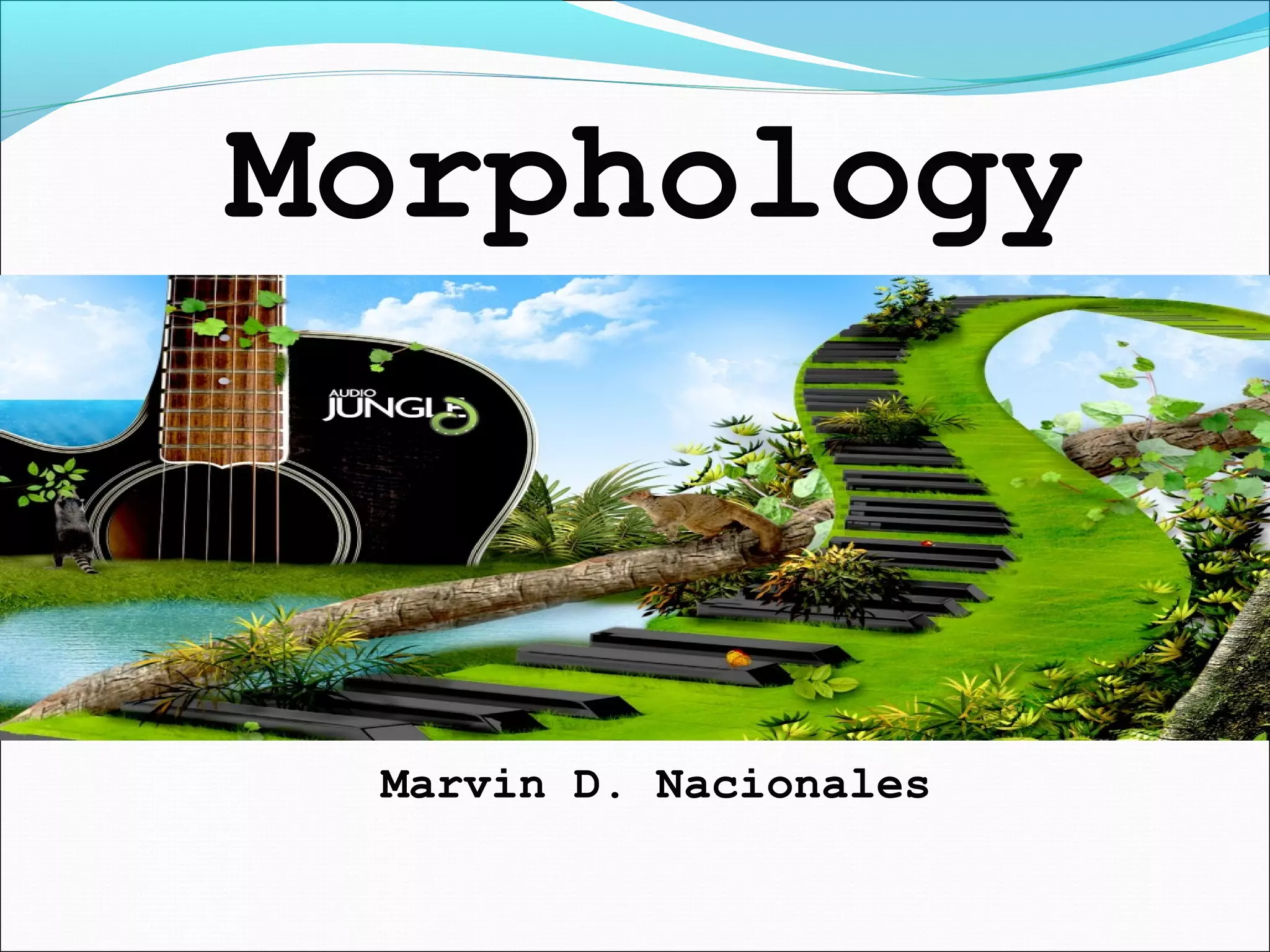 Introduction to Morphology | PPT